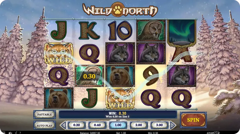 Wild North Slot – Offizielles Play’n GO Echtgeldspiel Deutschland